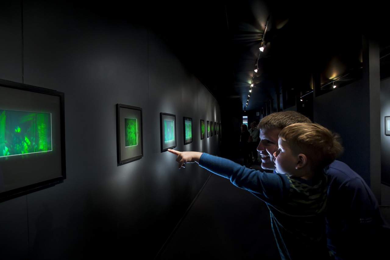 Illusion Rooms - Puzzling World