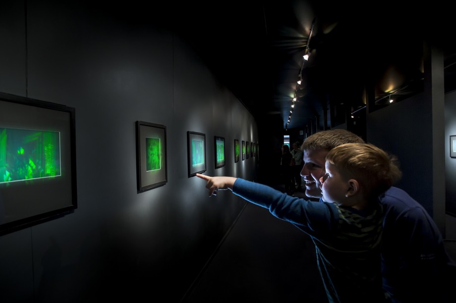 Illusion Rooms - Puzzling World