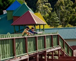 Wanaka's Wonderful World of Weirdness! - Puzzling World